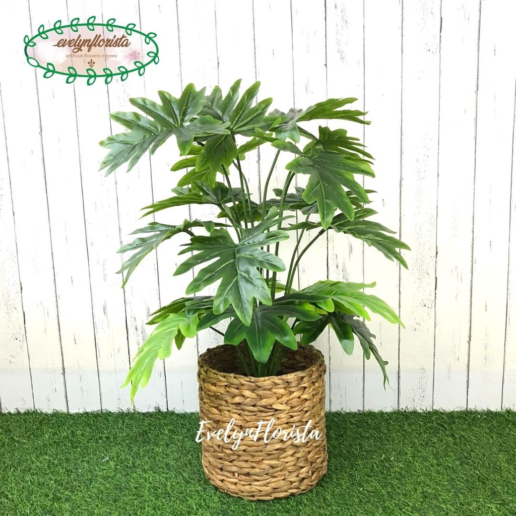 Jual Pohon Daun Monstera Jari Philo X18 Semi Latex Artificial Pot Dasar ...