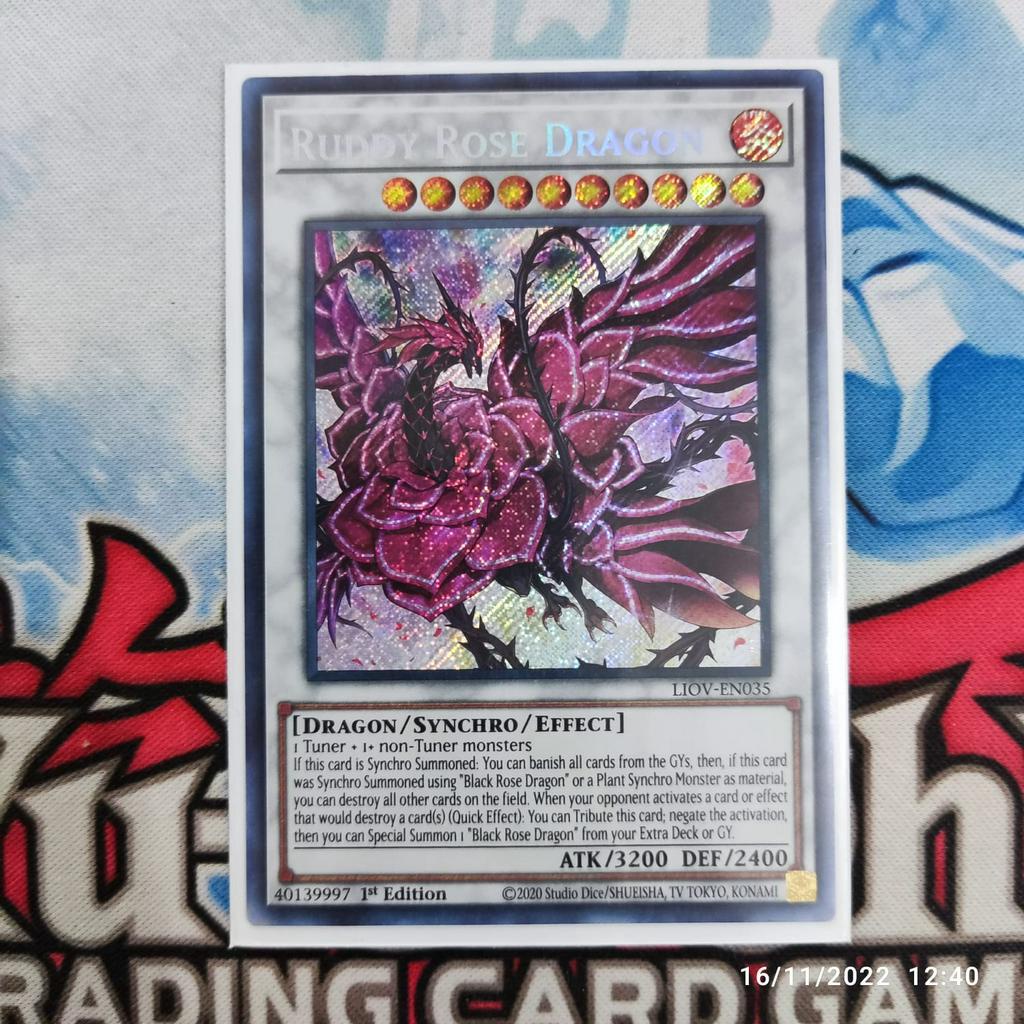 Jual yugioh ruddy rose dragon LIOV secret rare 1st original | Shopee ...