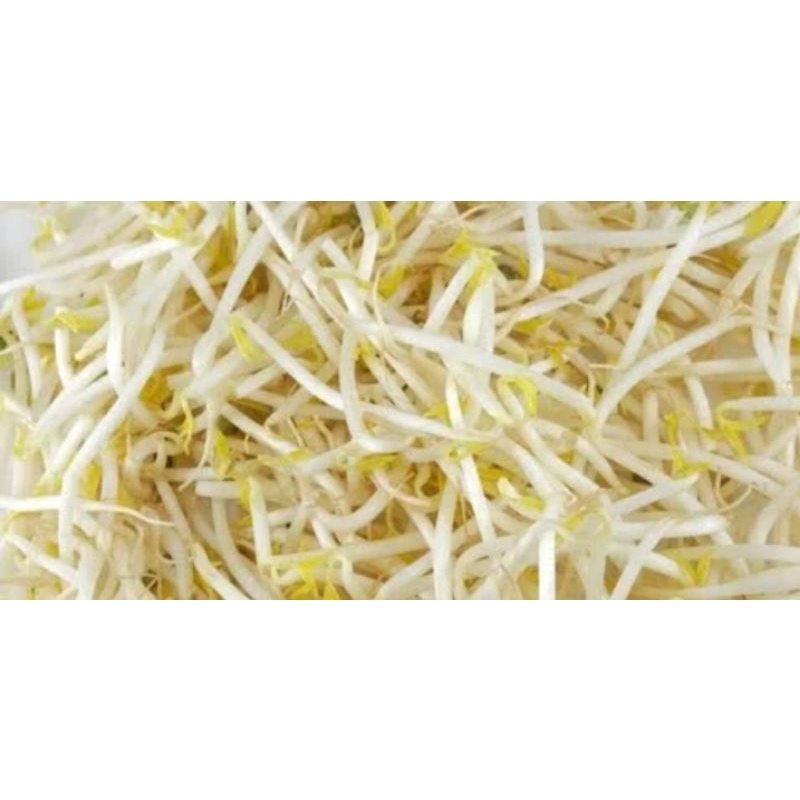 Jual Toge Tauge 500 Gram | Shopee Indonesia