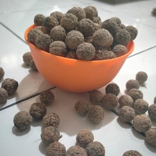 Jual Buah Jenitri Terlengkap & Harga Terbaru Januari 2025 | Shopee ...