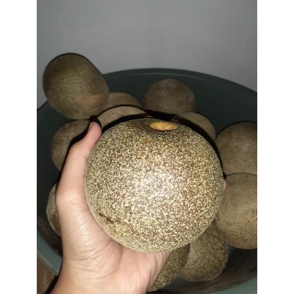 Jual KAWISTA/KISTO/KINCO/KAWIS SEGAR 1Kg | Shopee Indonesia