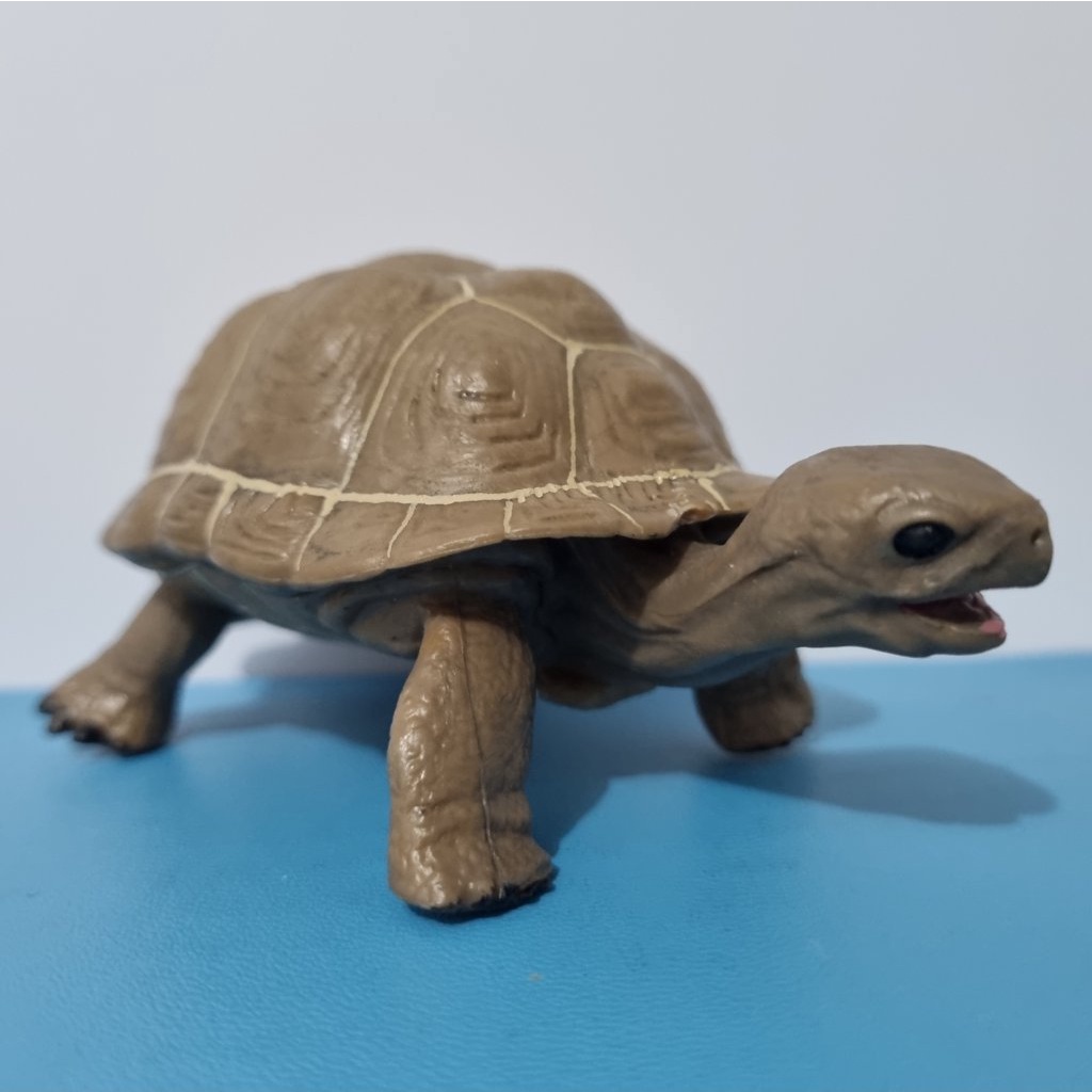 Jual Figur Hewan Kura kura turtle PVC Miniatur detail rapi panjang 12 ...