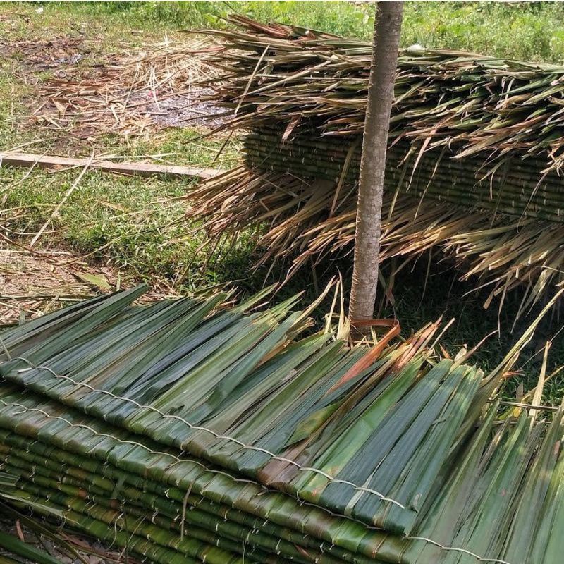 Jual Atap Daun Rumbia Dahon Basah untuk Gazebo / Cafe / Hunian ...