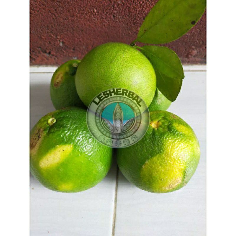 Jual jeruk bali mini segar 1kg | Shopee Indonesia