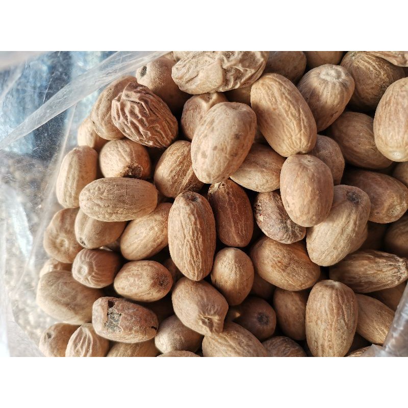 Jual pala 1 butir | Shopee Indonesia