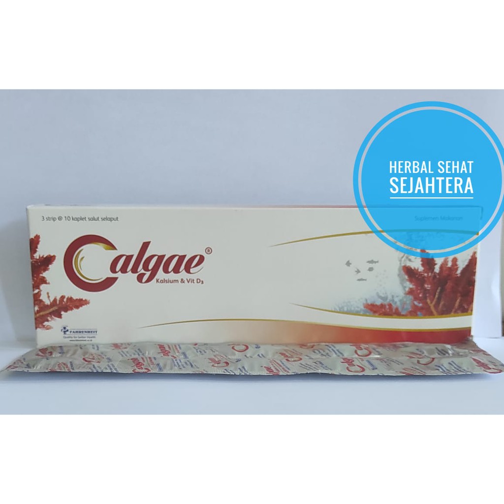 Jual CALGAE Calgae Kaplet - Memelihara kesehatan tulang - Fahrenheit ...