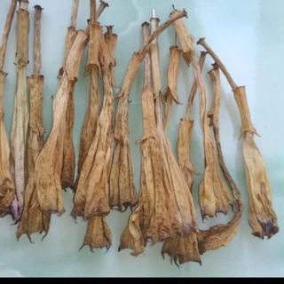 Jual Bunga Kecubung Terlengkap & Harga Terbaru Juli 2024 | Shopee Indonesia