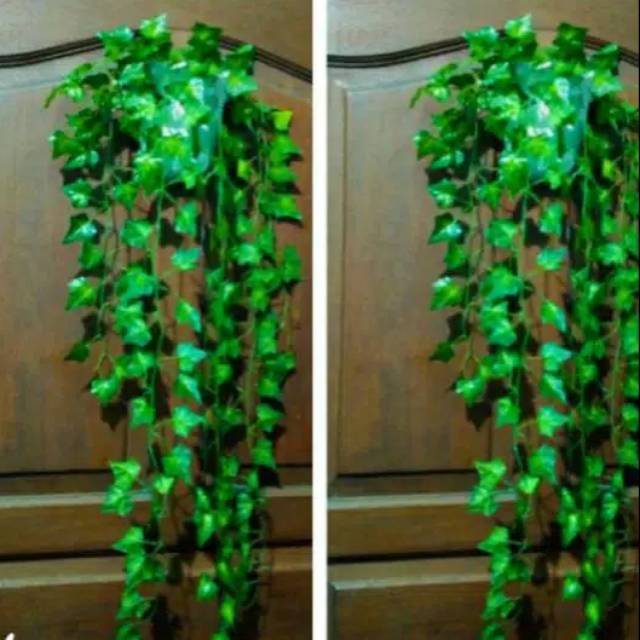 Jual PD09 Buket Bunga Daun Rambat Ivy / Daun Rambat Ivy / Pot Dinding ...