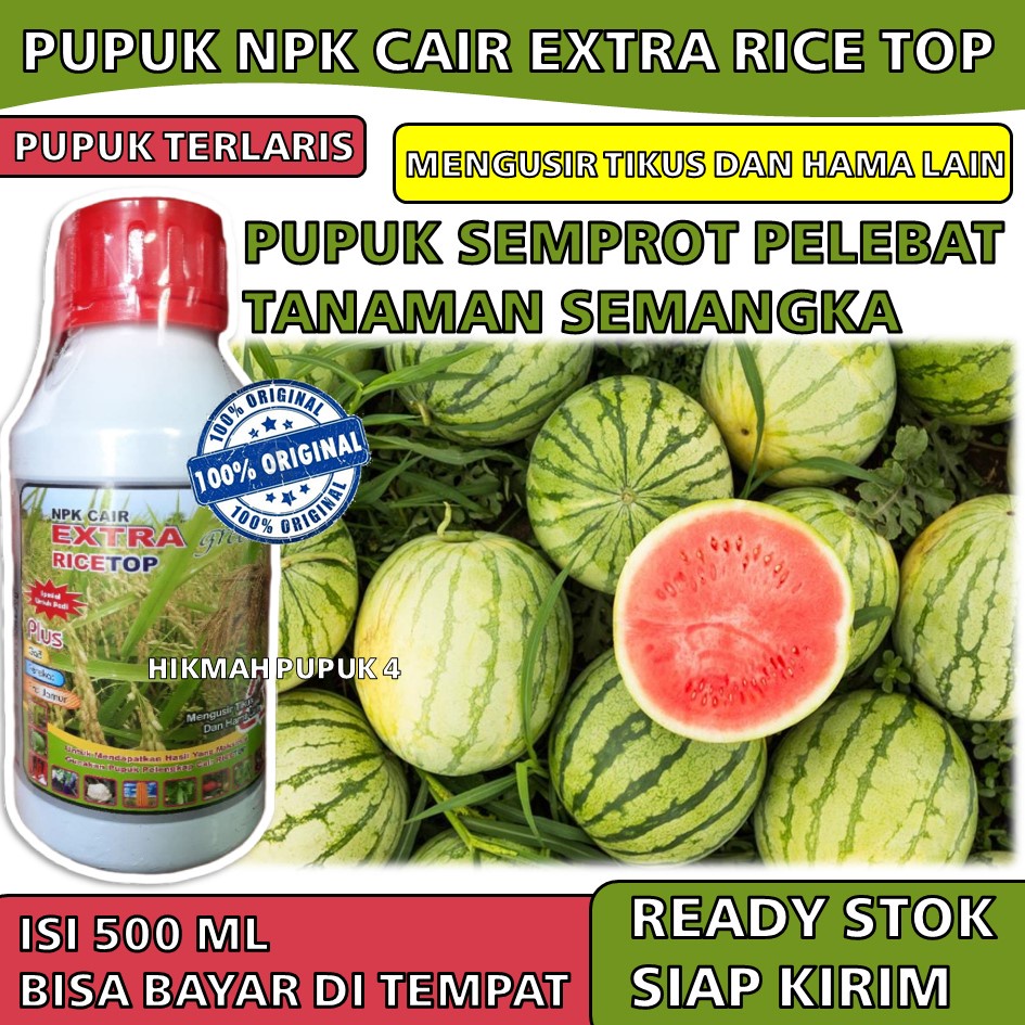 Jual PUPUK NPK CAIR EXTRA RICETOP 500 ML Pupuk Semprot Pelebat Tanaman Semangka - Pupuk ...