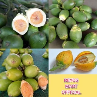 Jual Buah Jambe Terlengkap & Harga Terbaru April 2024 | Shopee Indonesia