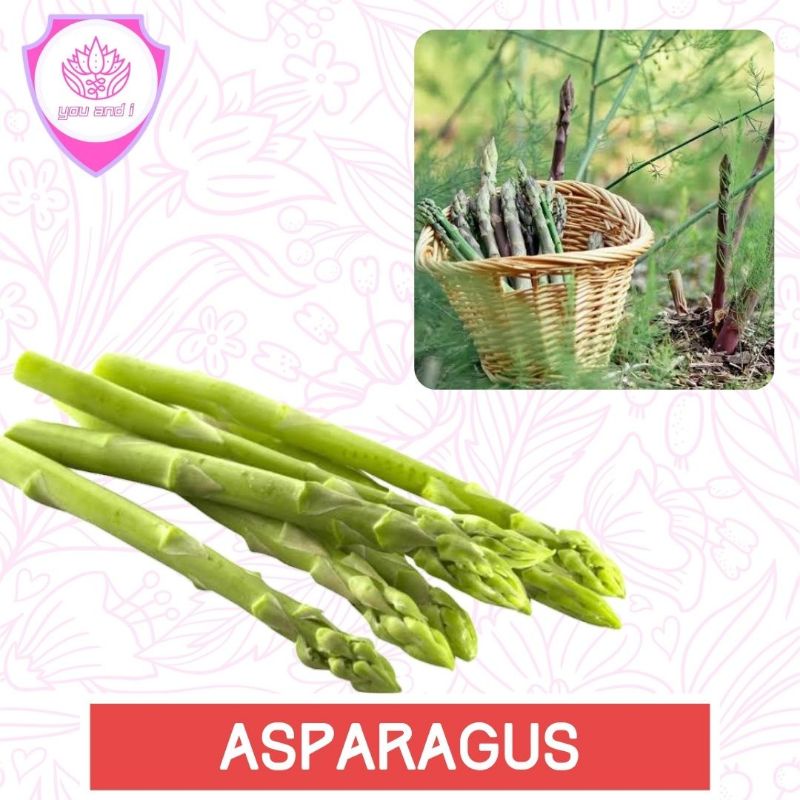 Jual Benih ASPARAGUS - Biji Bibit Sayur | Shopee Indonesia