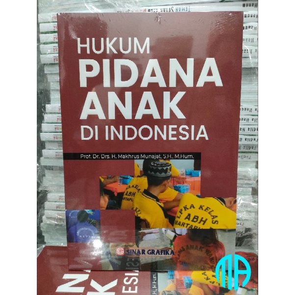 Jual Hukum Pidana Anak di Indonesia - Makhrus Munajat | Shopee Indonesia