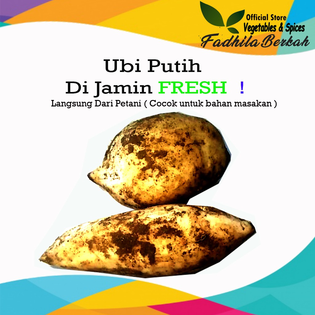 Jual Ubi putih segar hasil bumi dengan kemasan 1 KG | Shopee Indonesia