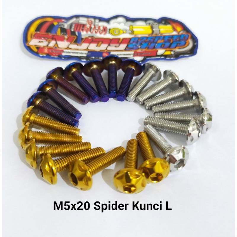Jual Baut Set Pb Probolt M5x20 Kunci L untuk Tutup Tangki Ninja R RR Ss ( 7 pcs ) | Shopee Indonesia