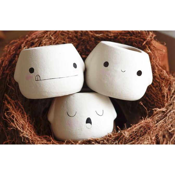 Jual Pot tanaman lucu emoji - Cheeky | Shopee Indonesia