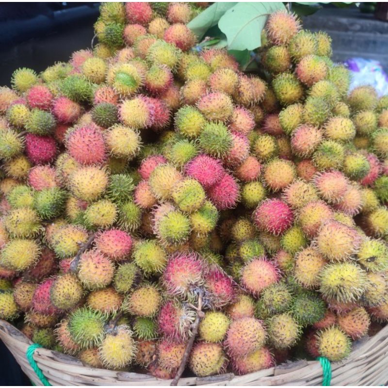 Jual Rambutan Rapiah Fresh 2 ikat (HABIS) | Shopee Indonesia