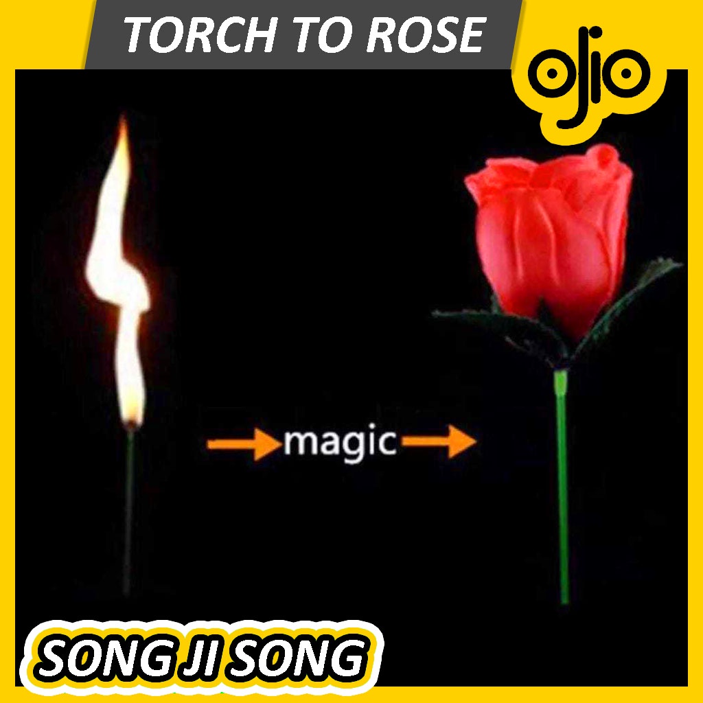 Jual OJIO Alat Sulap Bunga Mawar Torch To Rose - Trik Sulap Api Jadi ...