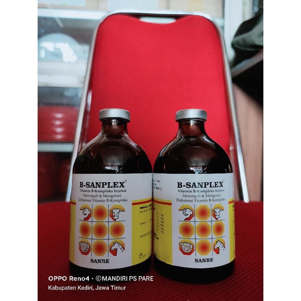 Jual B-SANPLEX 100ML SANBE (Vitamin B-Kompleks Injeksi) | Shopee Indonesia