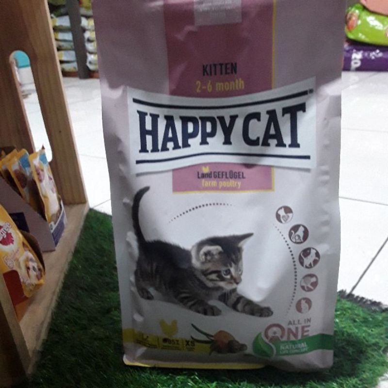 Jual happy cat kitten poultry 1,3kg | Shopee Indonesia