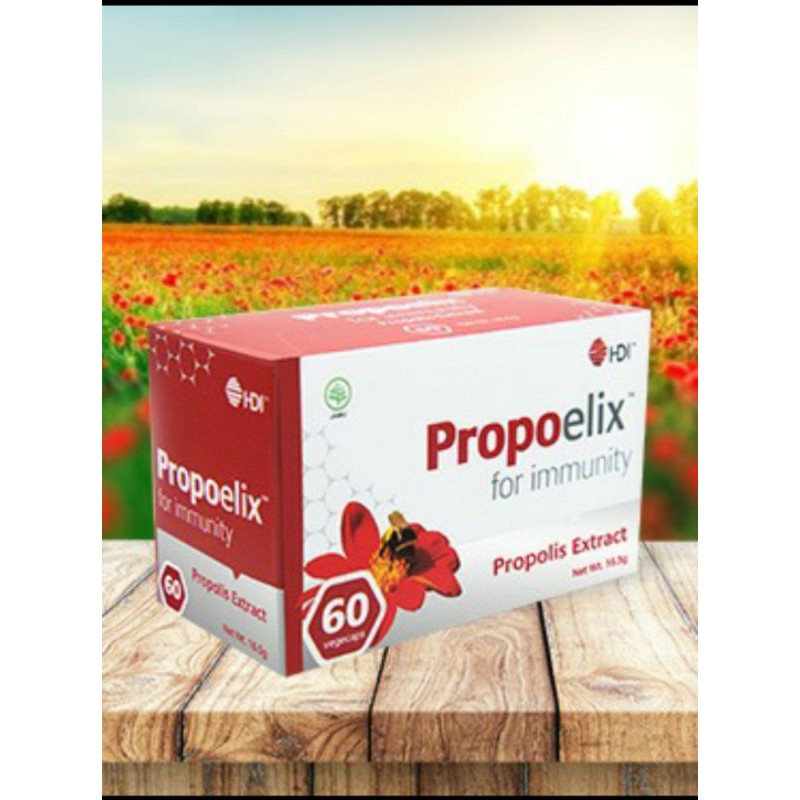 Jual PROPOELiX hdi(60 kaps) | Shopee Indonesia