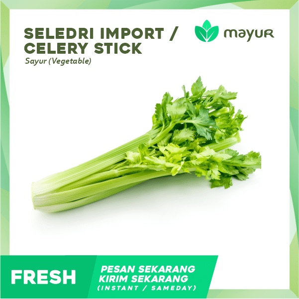 Jual Seledri Stik / Celery Stick (500 gram) | Shopee Indonesia