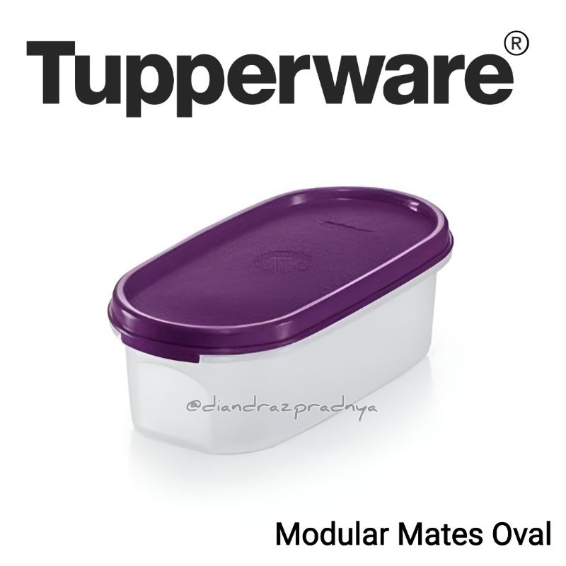 Jual Modular Mates Oval Tupperware MMO | Shopee Indonesia