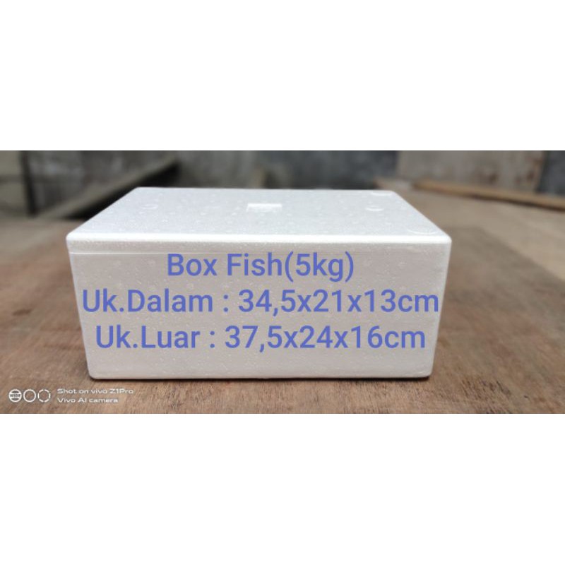 Jual Fish 5kg Box Styrofoam Gabus | Shopee Indonesia