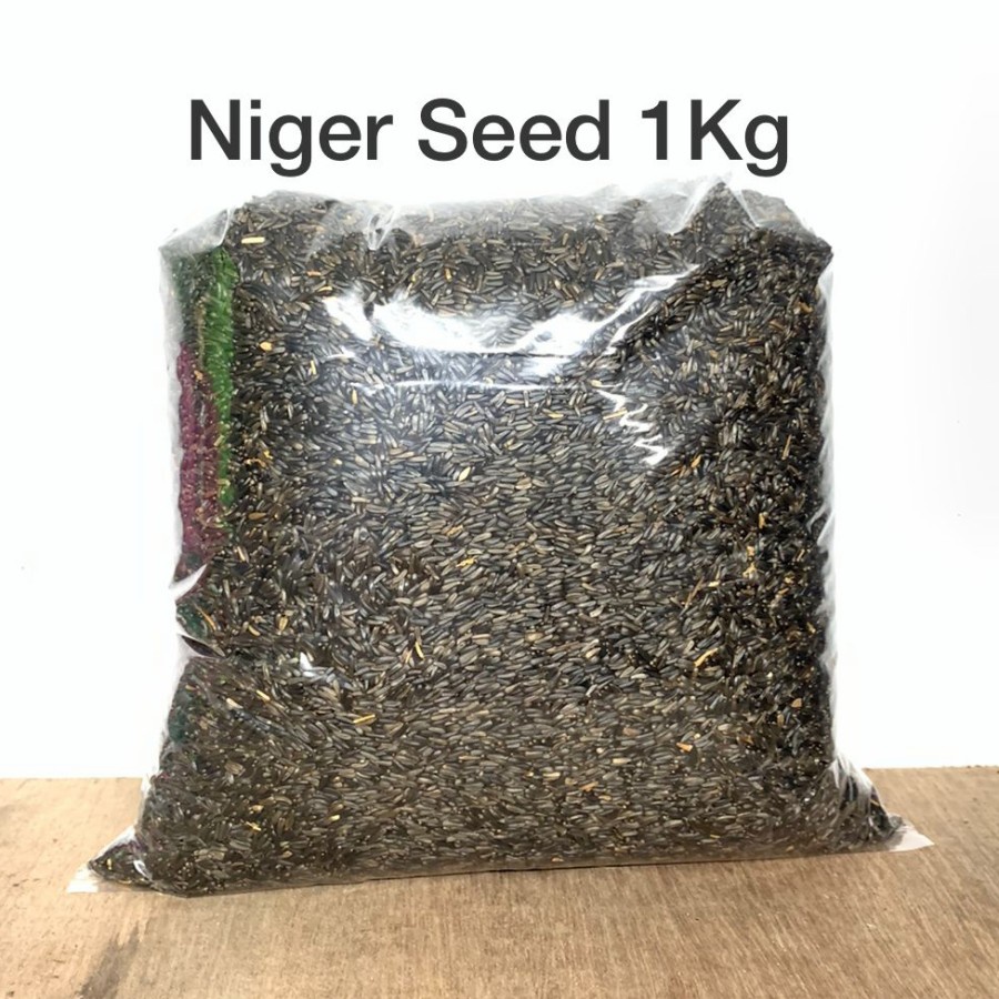 Jual Niger Seed Kiloan Nigerseed Makanan Burung Red Siskin Kenari Finch ...