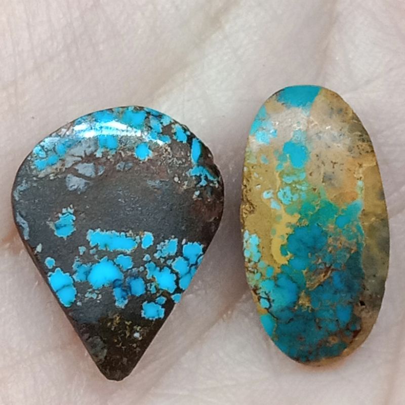Jual Natural pirus persia borongan | Shopee Indonesia