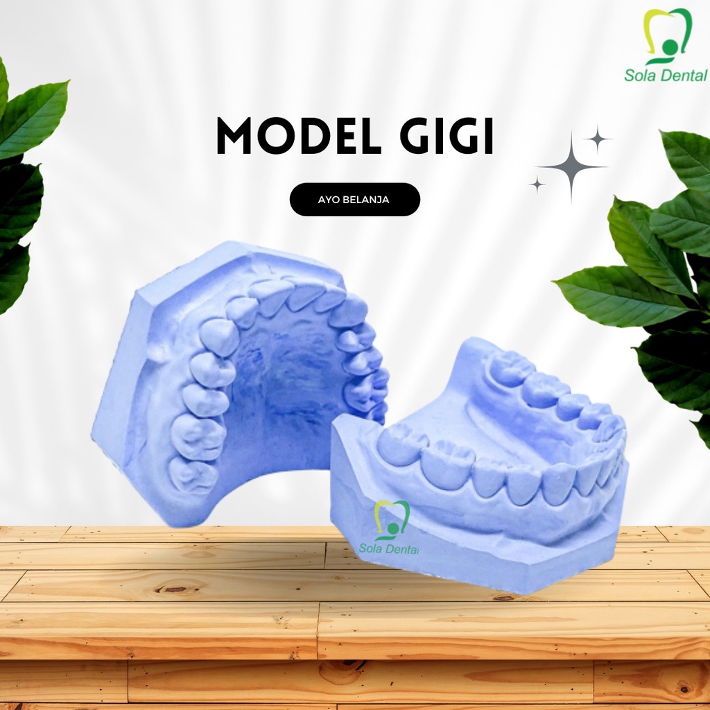 Jual Model Gigi Biru / Model Gigi Gips | Shopee Indonesia
