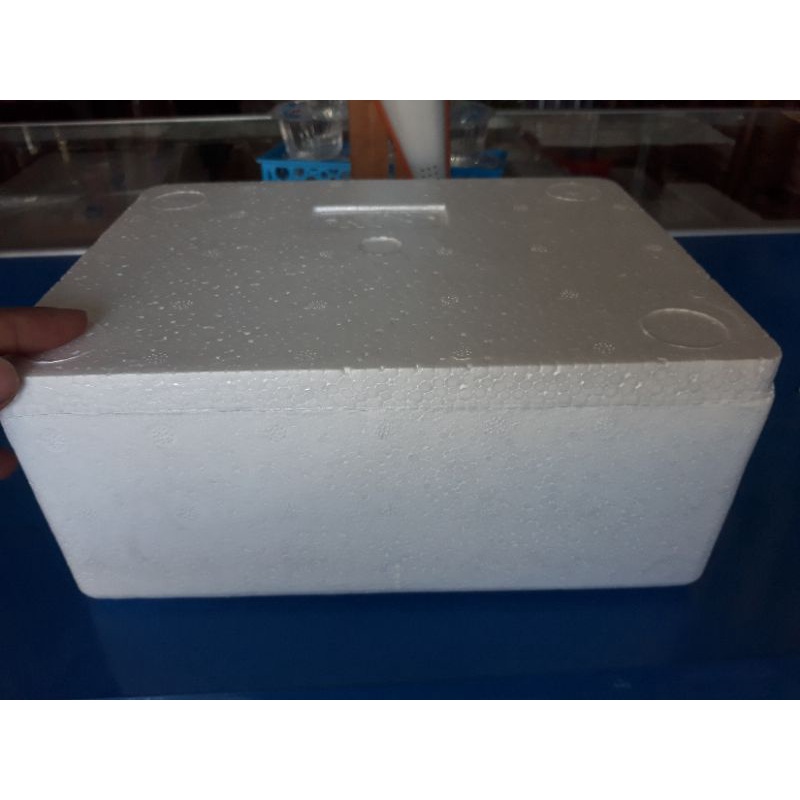 Jual Styrofoam Box SSLI PxLxT27x21x11 | Shopee Indonesia
