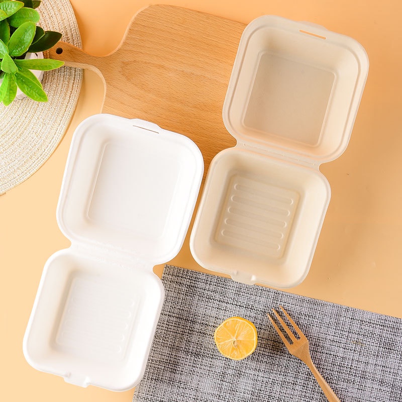 Jual Bagasse Box Bento isi 1 Cake Burger 15cm x 15cm 6inch 6" Lunchbox ...