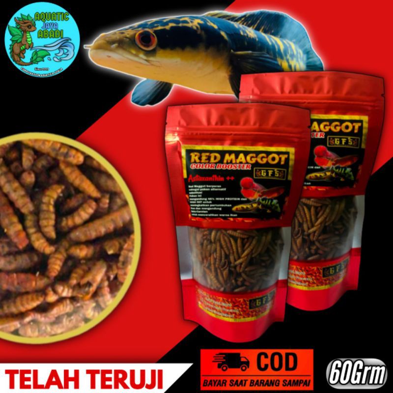 Jual Red maggot GFS/Maggot kering Astaxanthin 60 Gram | Shopee Indonesia