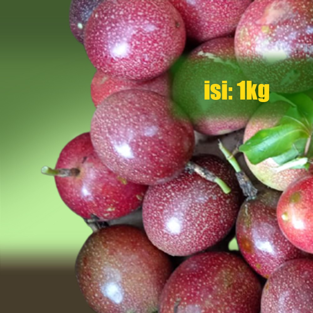 Jual BUAH MARKISA UNGU SEGAR 1 KG PASSIFLORA EDULIS | Shopee Indonesia