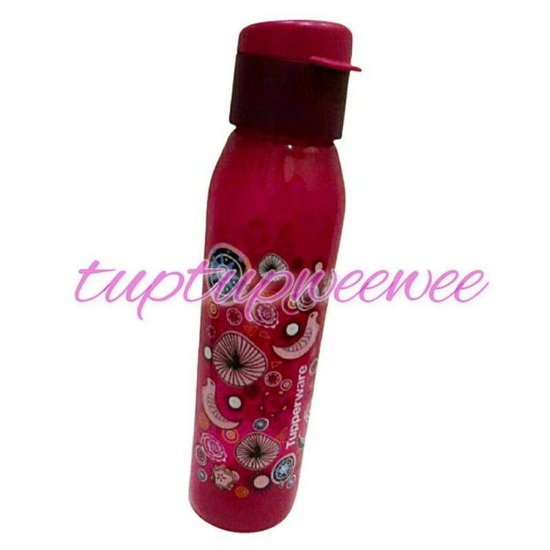 Jual tupperware eco bottle botol 500ml mickey minnie botol | Shopee ...