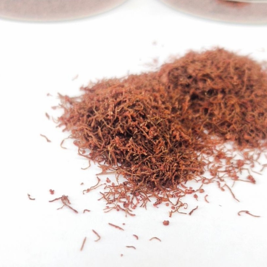 Jual EMBRYO CACING KERING 5GR / PAKAN IKAN HIAS TUBIFEX SP CACING SUTRA ...