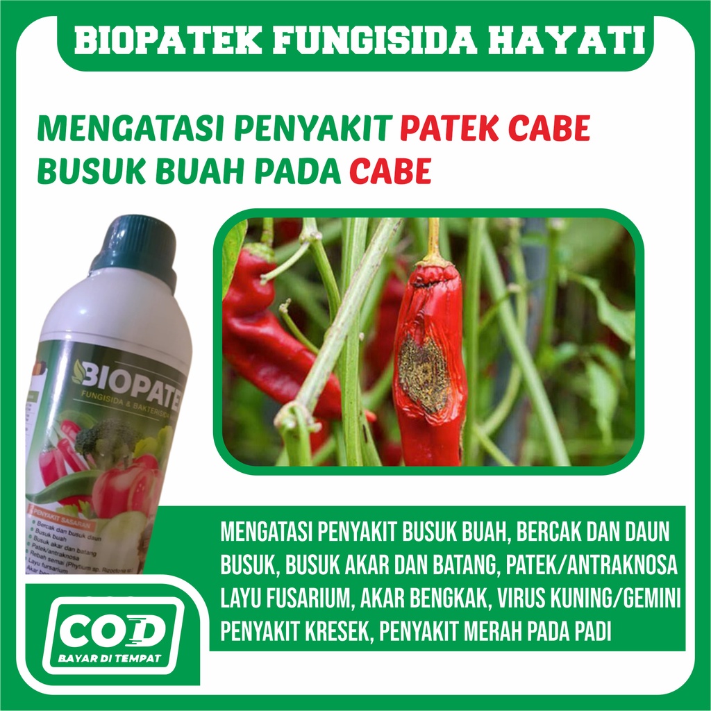 Jual (BISA COD) BIOPATEK Fungisida Hayati Mengatasi Hama Penyakit Patek ...