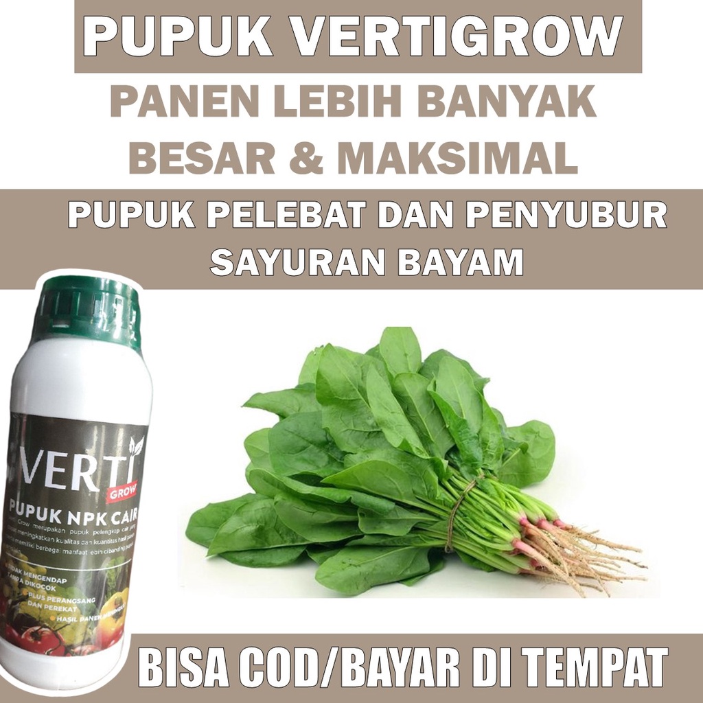 Jual VERTI-GROW PUPUK NPK CAIR TERBAIK MELEBATKAN BAYAM Buah BAYAM Menjadi Besar dan Sehat ...