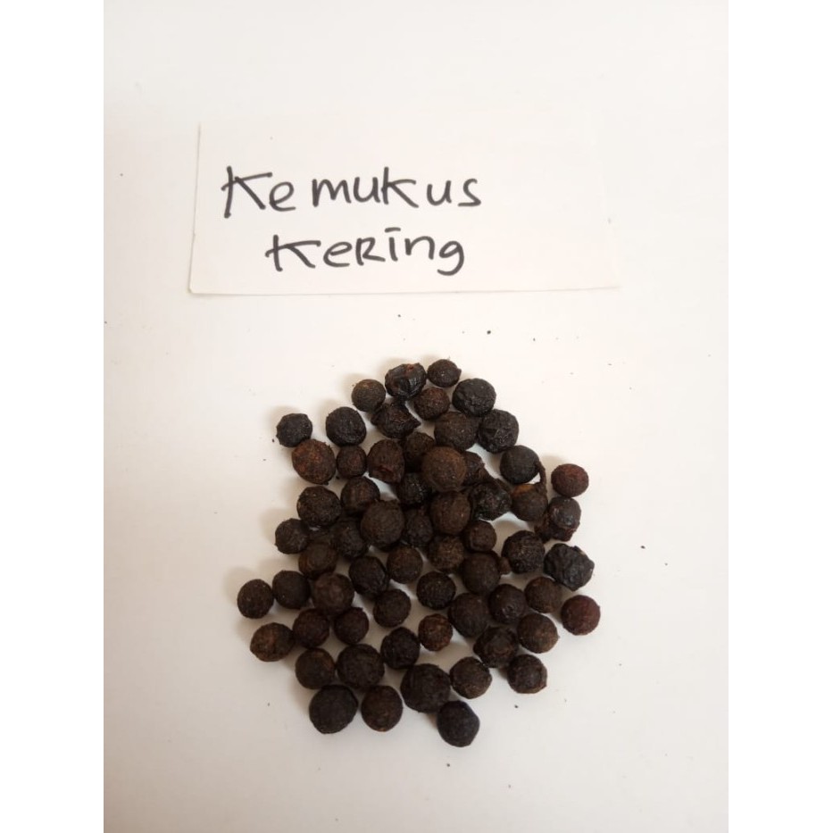 Jual Biji Kemukus Kering / Lada Jawa / Lada Kubis 250 gram | Shopee ...