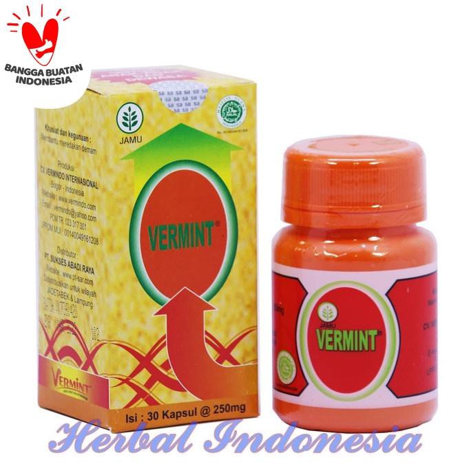 Jual Vermint | Vermin | Obat Penyakit Tifus / Tipes / Typus 30 Kapsul ...