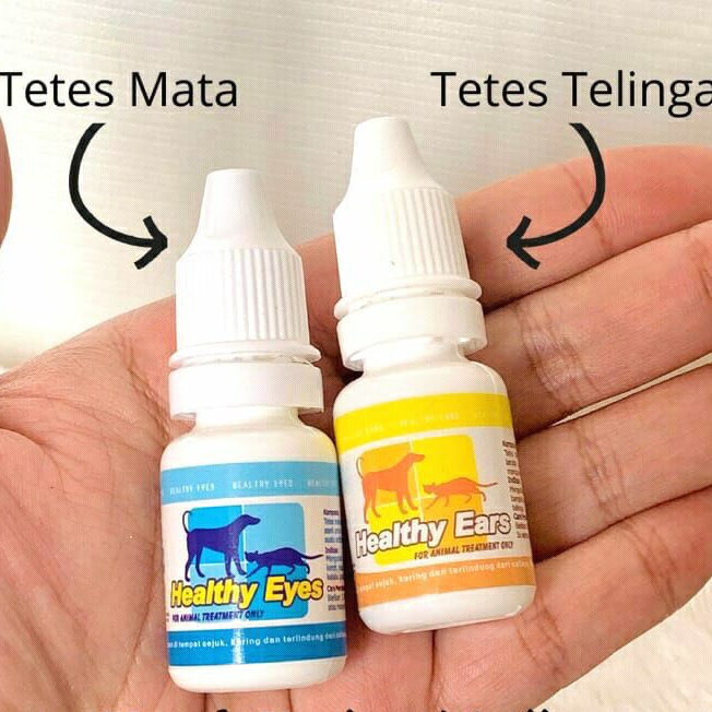 Jual Raid all healthy ear healthy eyes exp 2026 Obat tetes telinga obat ...