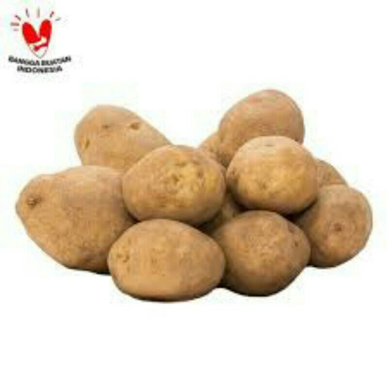Jual kentang / kentang ukuran besar sedang | Shopee Indonesia