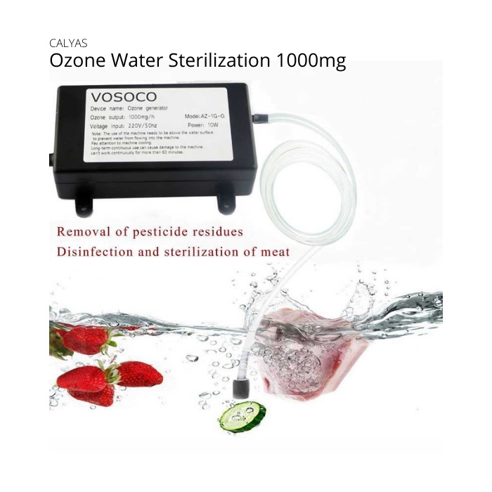 Jual Mesin Ozone Ozon Generator Water Air Purifier Sterilizer 1000mg | Shopee Indonesia