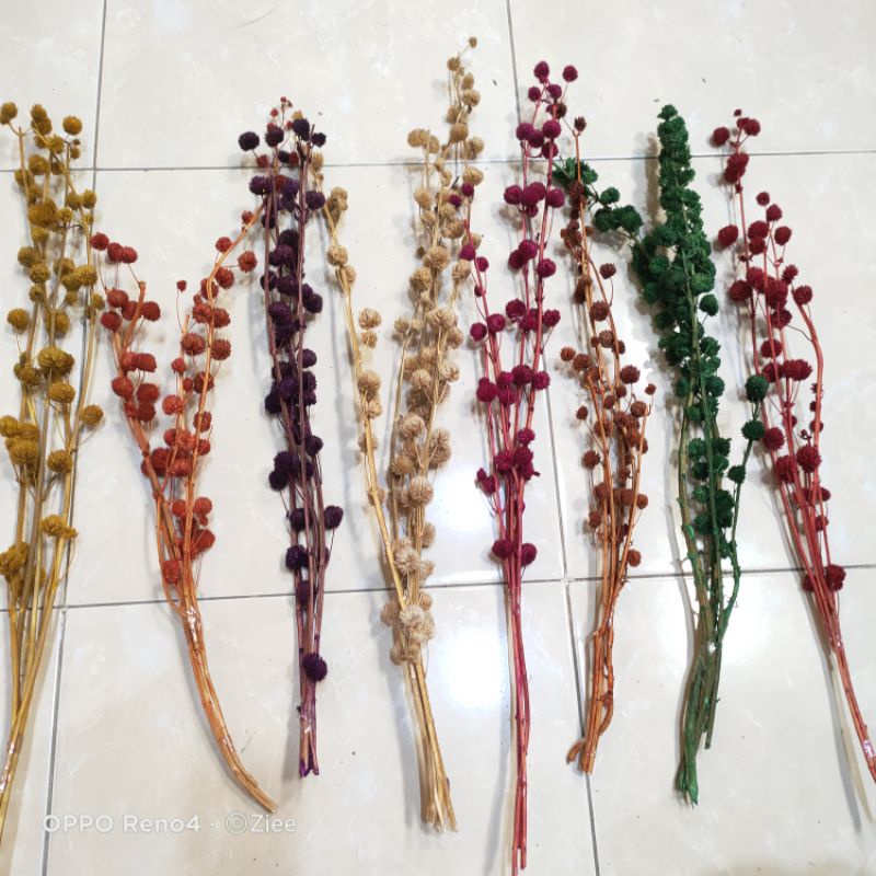 Jual bunga pompom kering | Shopee Indonesia
