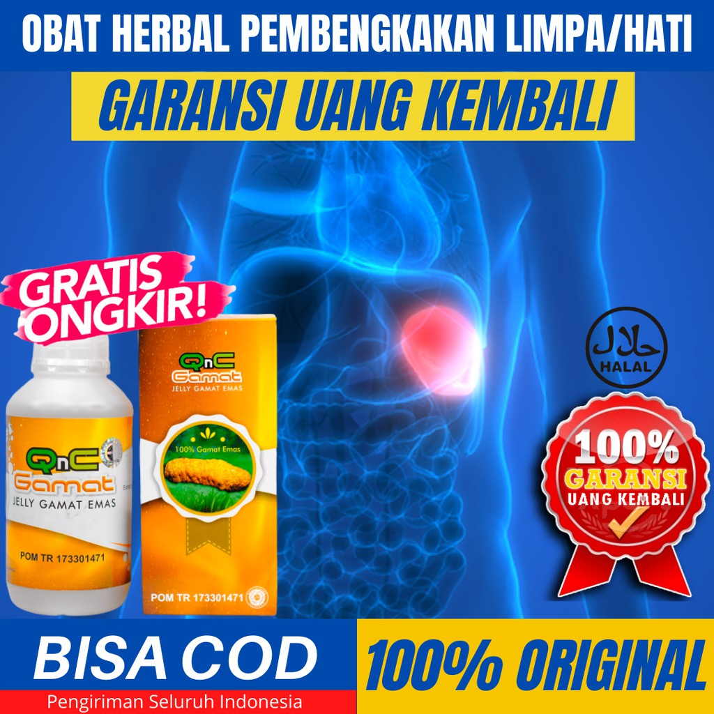 Jual Obat Herbal Untuk Pembengkakan Limpa dan Hati_Pembesaran Lima dan ...