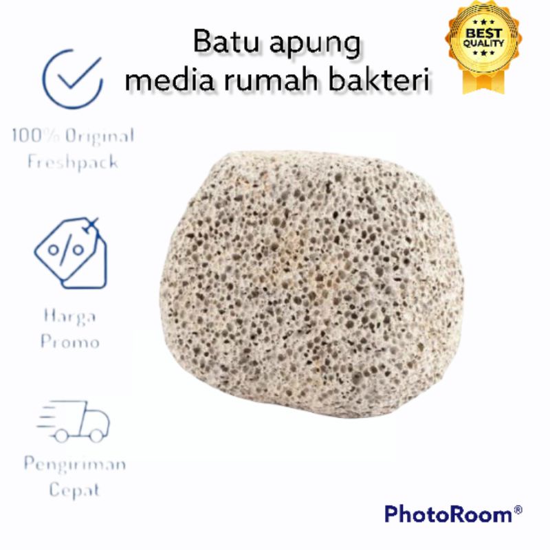 Jual BATU APUNG 1KG 1 KG MEDIA FILTER AQUARIUM PULMICE | Shopee Indonesia