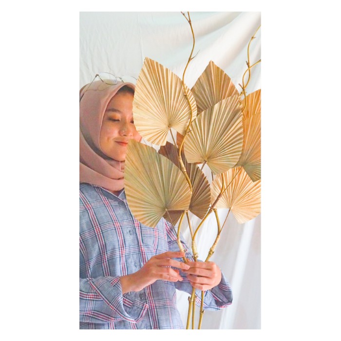 Jual PALEM STIK BUNGA KERING STIK DAUN PALEM BUNGA KERING STIK DAUN ...