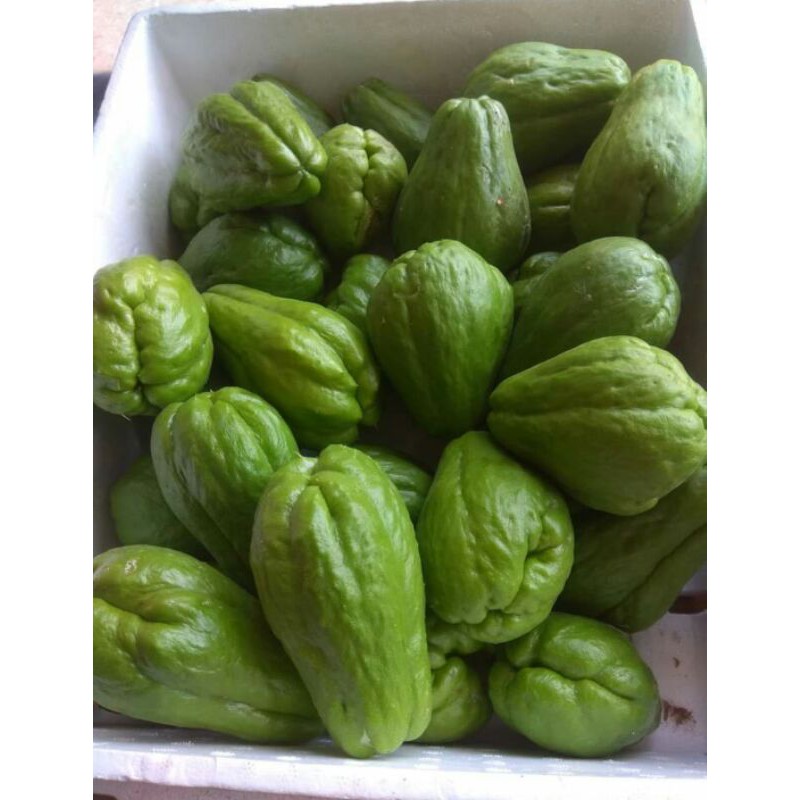 Jual Labu siam (siyem) 1kg | Shopee Indonesia