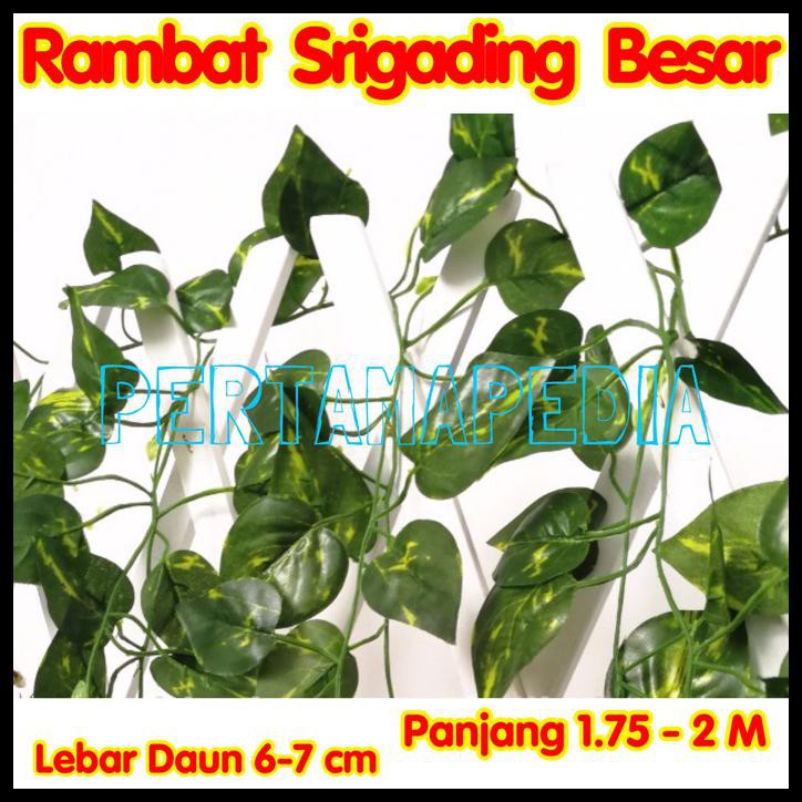 Jual Daun Bunga Plastik/ Rumput Plastik/ Daun Rambat Plastik | Shopee ...