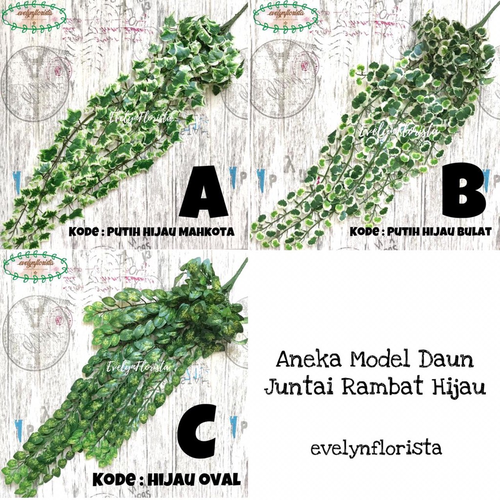 Jual Aneka Model Daun Juntai Rambat Hijau Artificial Tanaman Hias ...